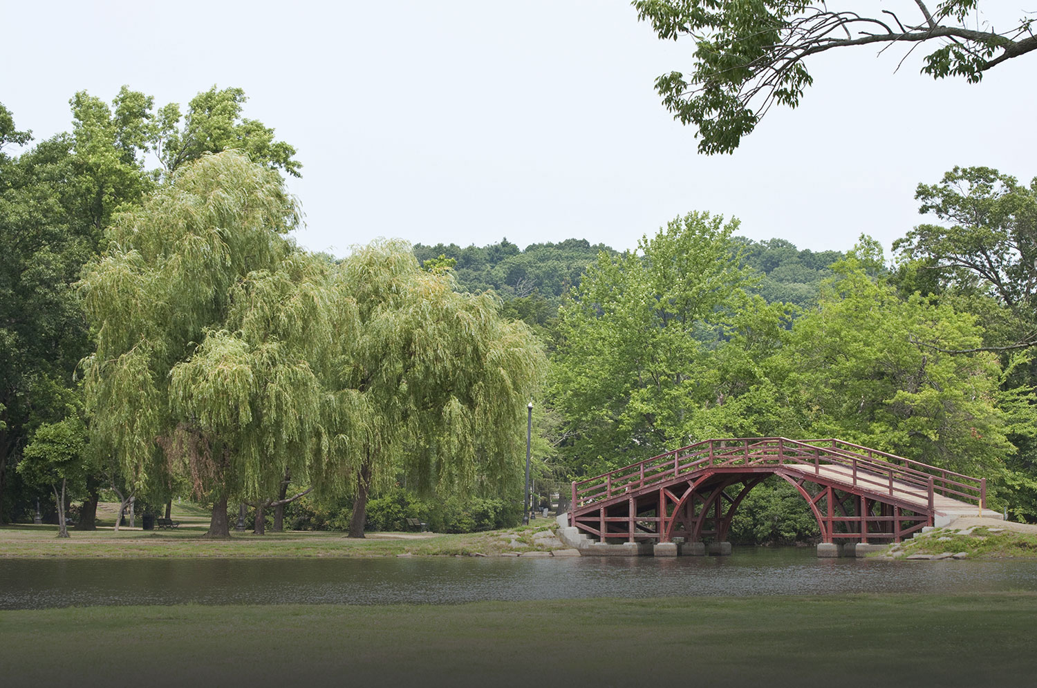 Home - Carl P. Sherr